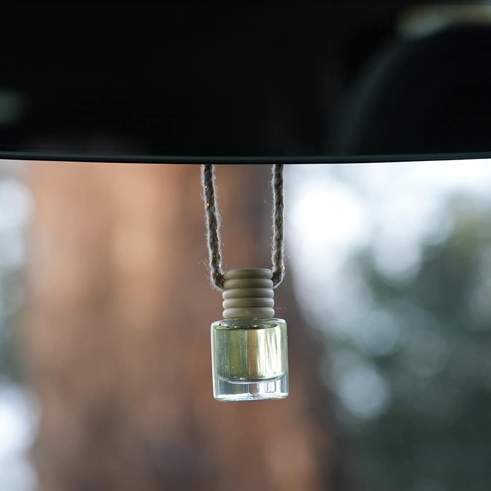 Car Diffuser - Scent Zone